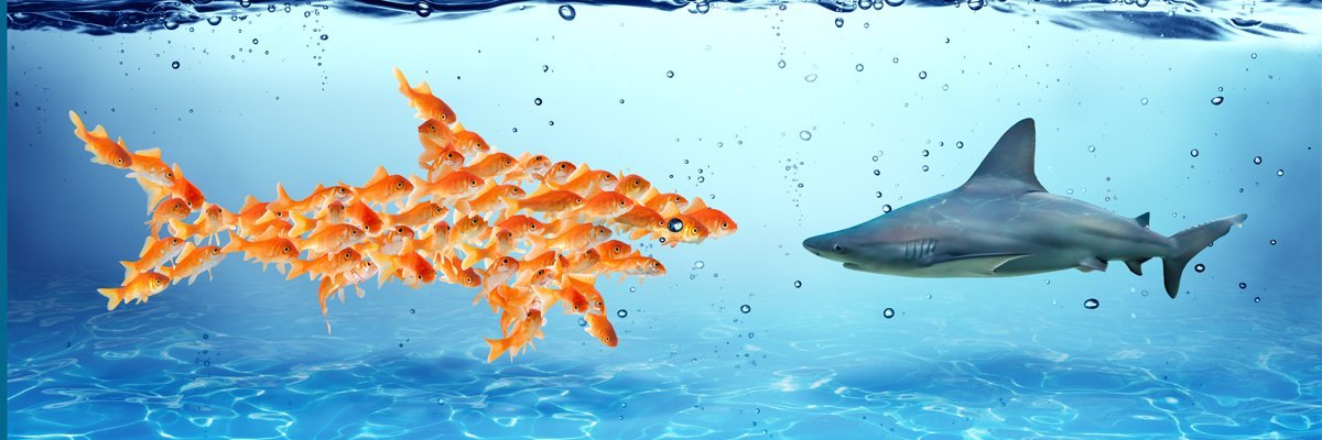 Salesforce Einstein Vision sinks teeth into shark recognition | TechTarget Salesforce Einstein Vision sinks teeth into shark recognition | TechTarget